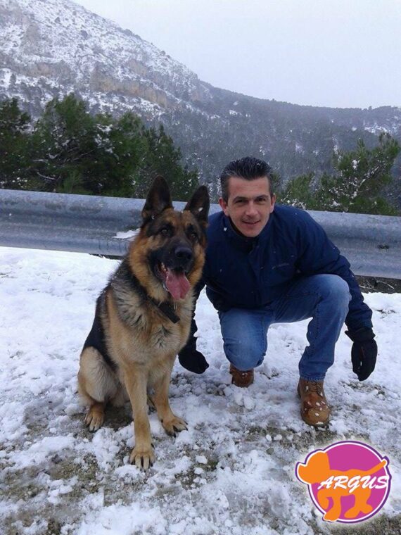 Ζήκος - Αθήνα - Argus Dog Trainer - Εκπαίδευση σκύλων κατ' οίκον σε όλη ...