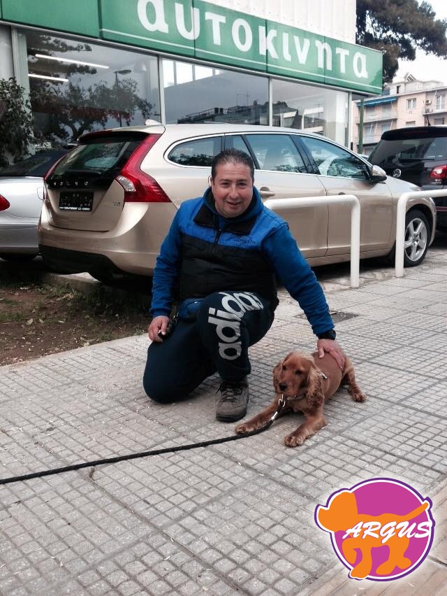 Loco - Καλλιθέα - Argus Dog Trainer - Εκπαίδευση σκύλων κατ' οίκον σε ...