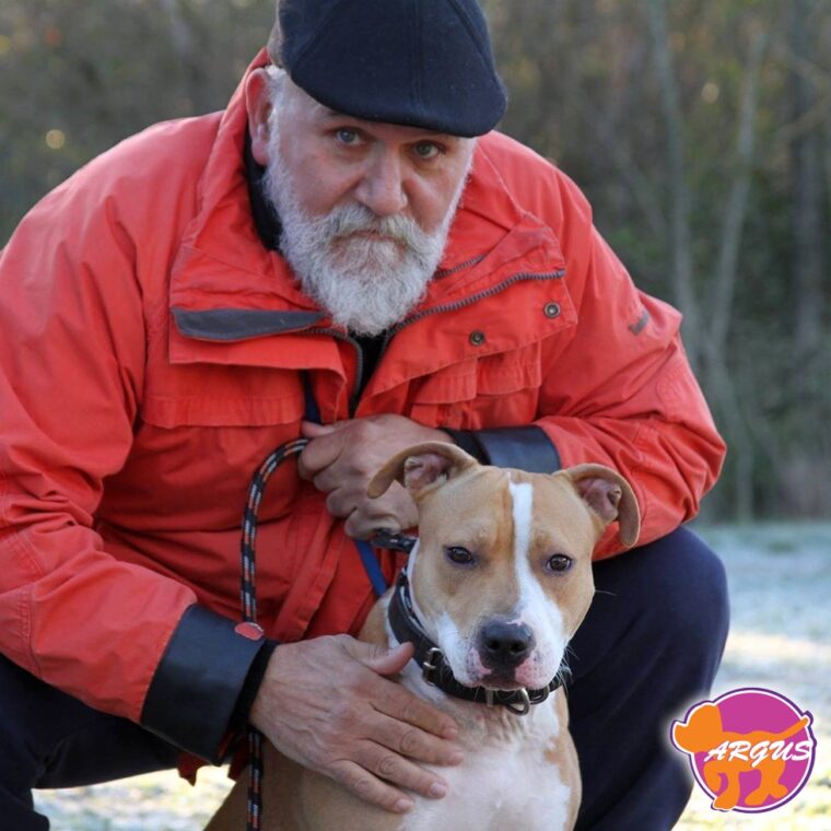 Θοδωρής - Πετρούπολη - Argus Dog Trainer - Εκπαίδευση σκύλων κατ' οίκον ...