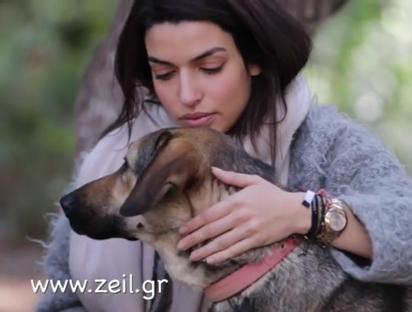Σκύβω και μαζεύω! - Argus Dog Trainer - Εκπαίδευση σκύλων κατ' οίκον σε ...