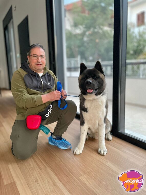 Ερμής - Ίλιον - Argus Dog Trainer - Εκπαίδευση σκύλων κατ' οίκον σε όλη ...