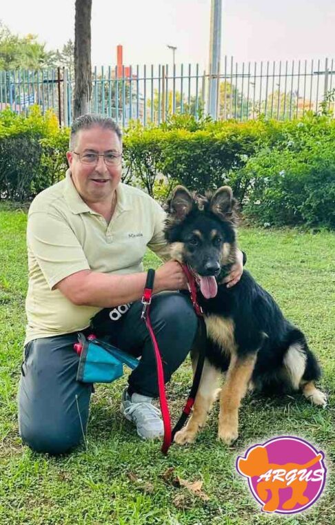 Γαλλικό μπουλντόγκ - Tam - Argus Dog Trainer - Εκπαιδευτής