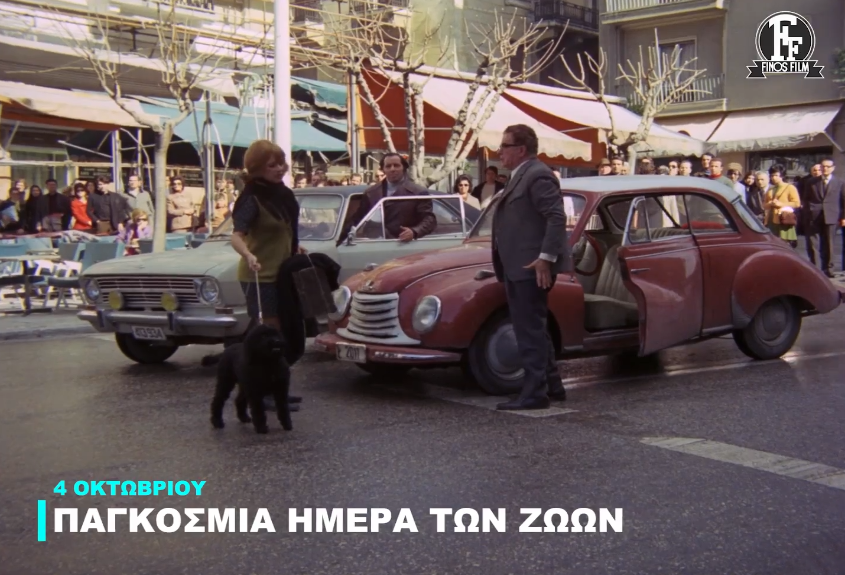 Αφιέρωμα της Φίνος Φιλμ για την Παγκόσμια Ημέρα Ζώων