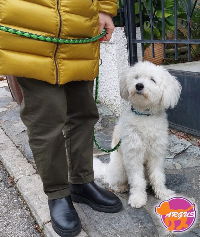 Amelie - Άγιος Δημήτριος - Argus Dog Trainer - Εκπαίδευση σκύλων κατ ...