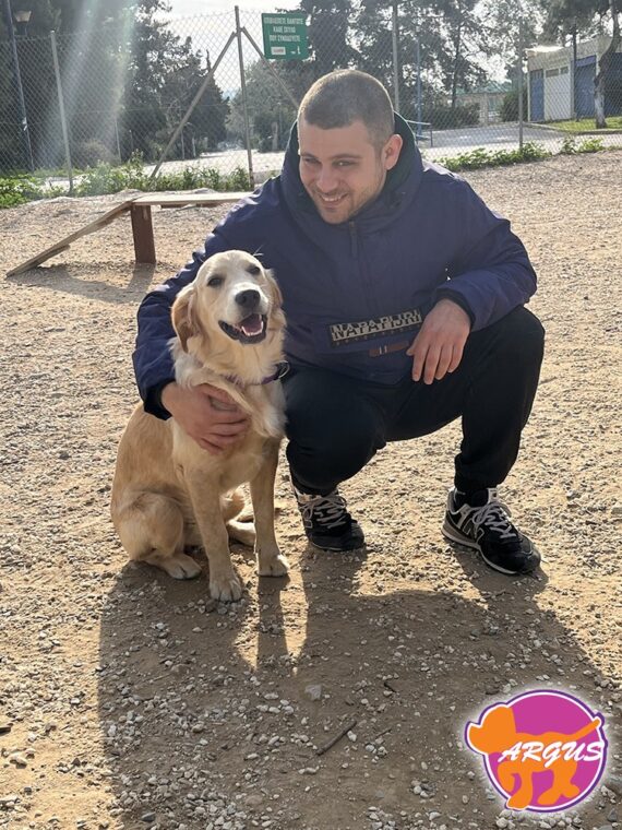 Τζίμης - Μυκονιάτικα Αγ. Αναργύρων - Argus Dog Trainer - Εκπαίδευση ...