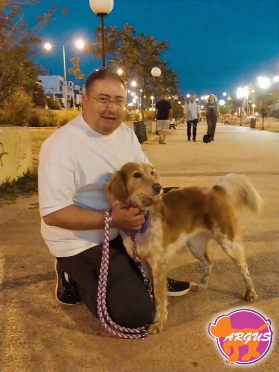 Odie - Κηφισιά - Argus Dog Trainer - Εκπαίδευση σκύλων κατ' οίκον σε ...